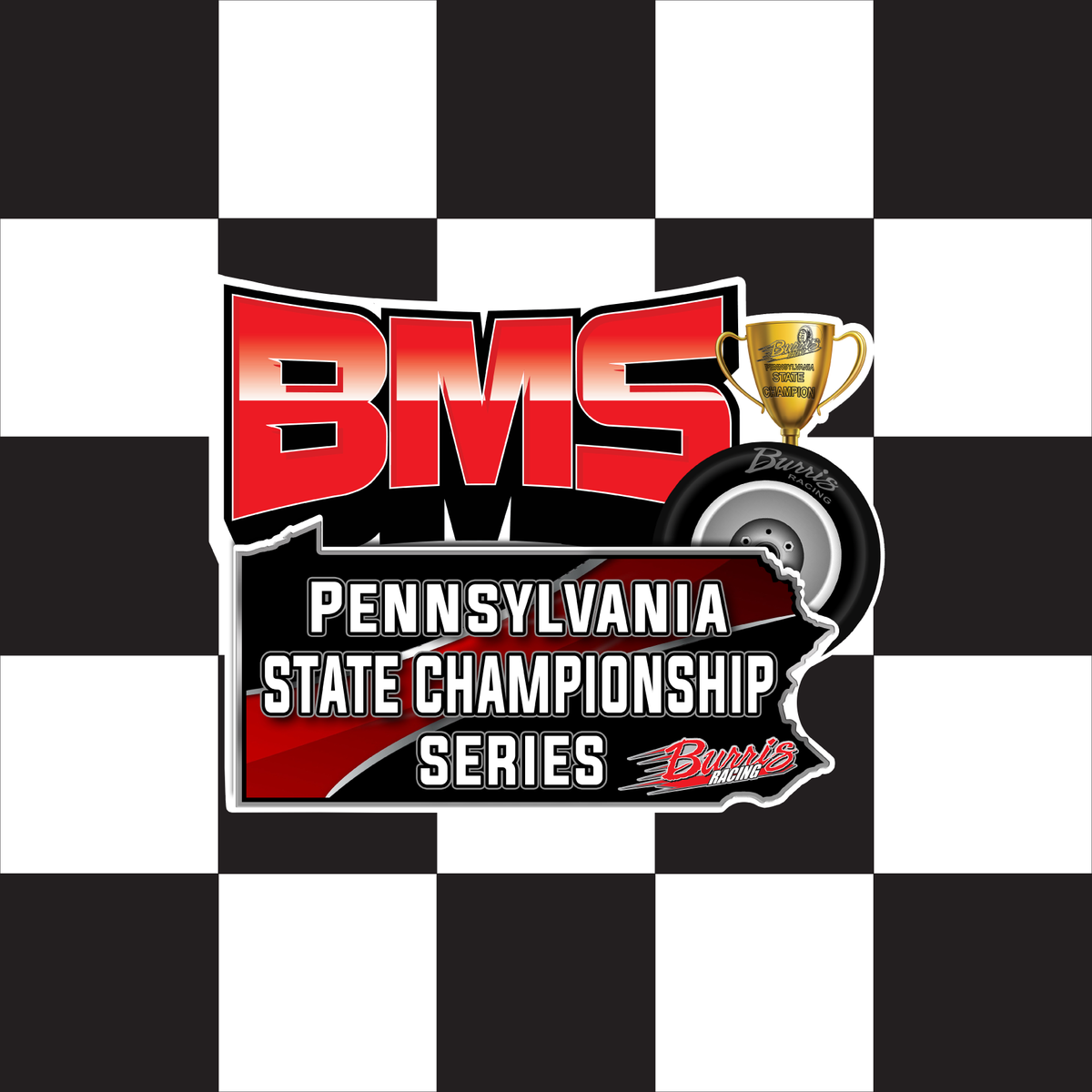 BMS Series Burris Custom Checkered Racing Flag - 24"x24" - Nylon - Sin ...